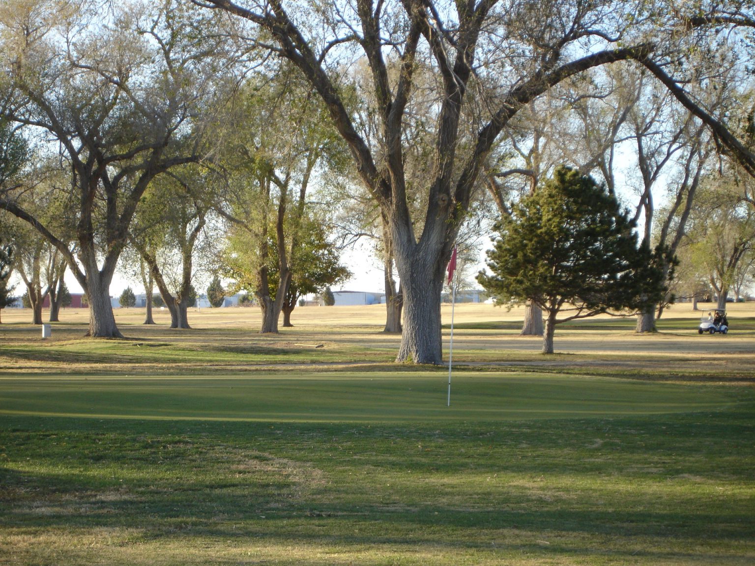 Homepage - Hobbs Country Club